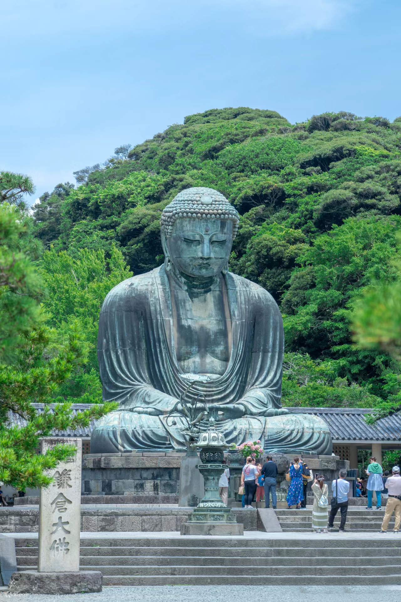 [One-day tour in Kamakura] Kamakura High School, Kamakura Buddha, and ...